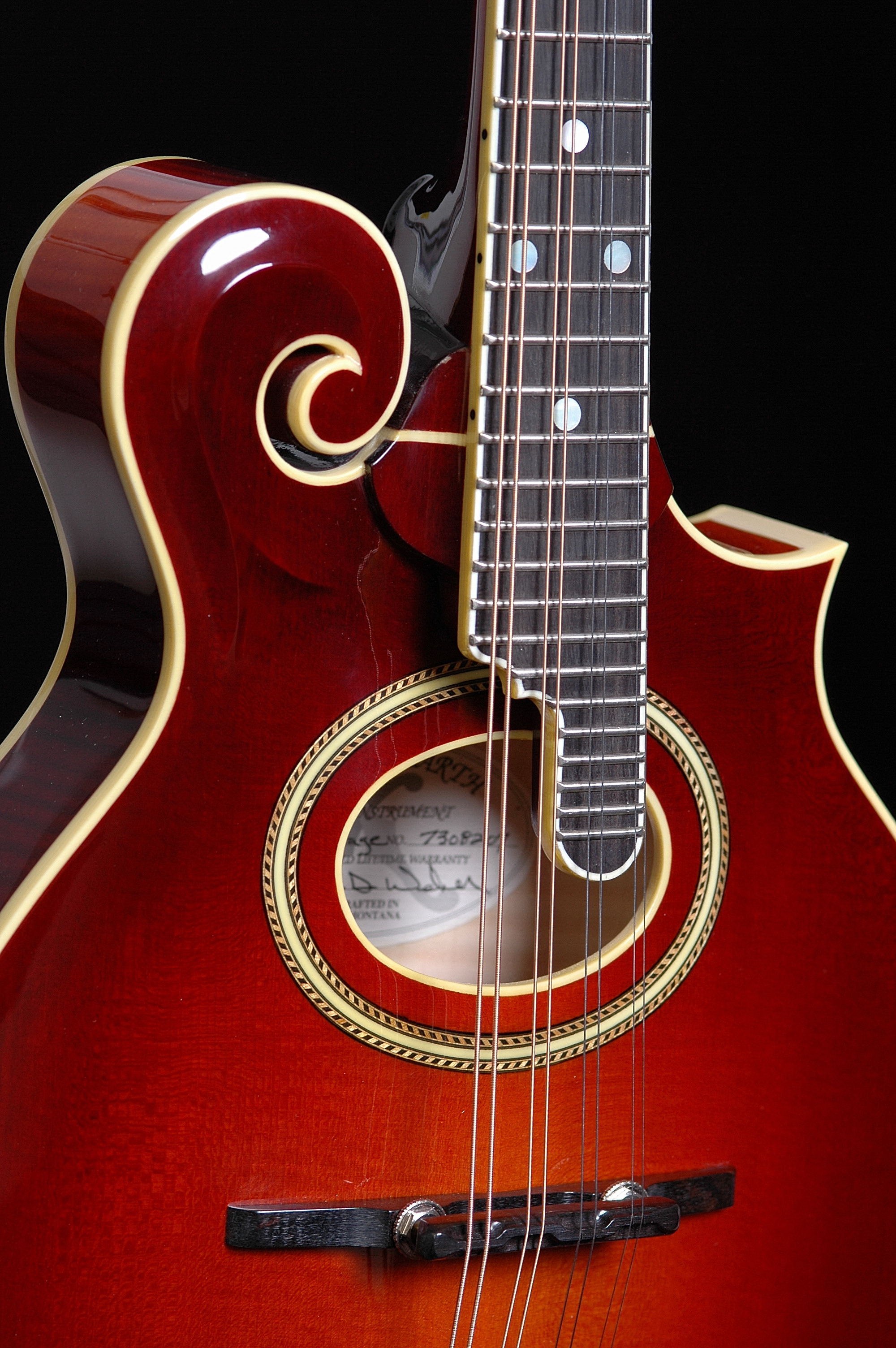 Mandolin Finishes & Colors - Montana Lutherie Customized Mandolin Exteriors