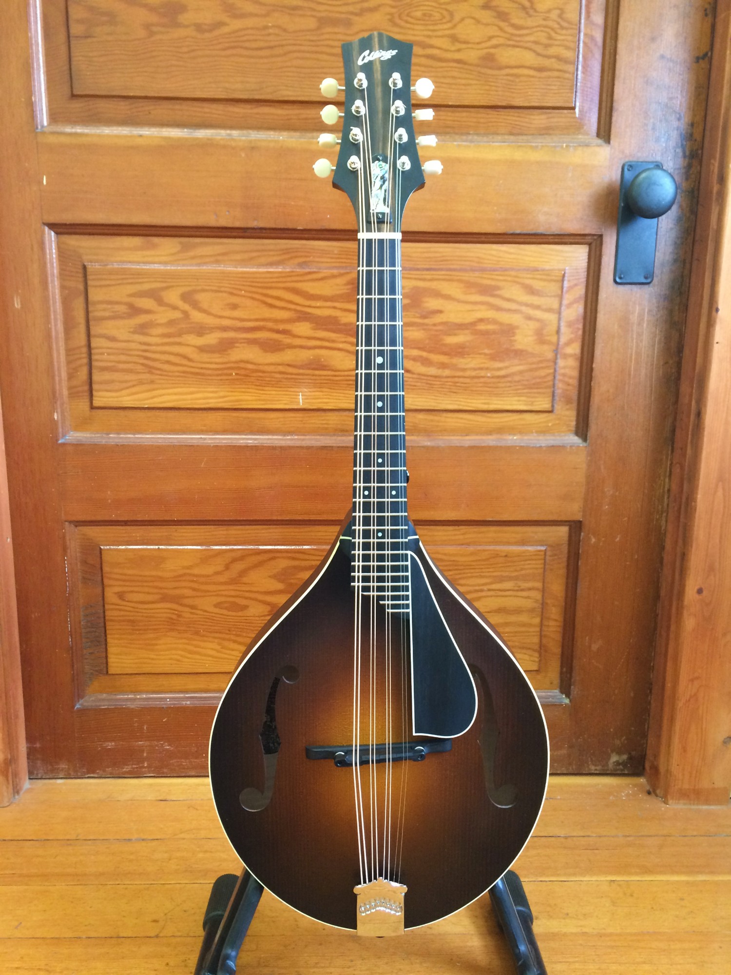 More Great Used Instruments To Check Out - Montana Lutherie