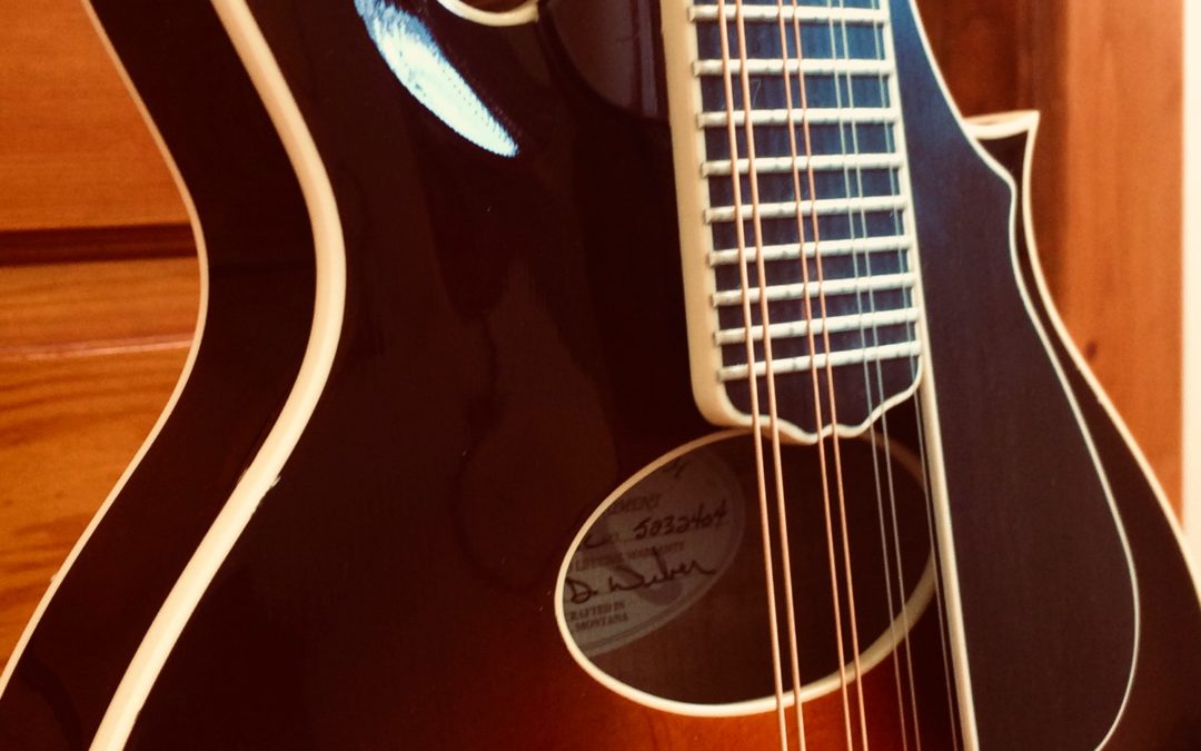 Mac Instruments Archives Montana Lutherie