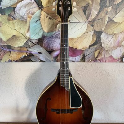 A Style Mandolins For Sale - Montana Lutherie - The Mandolin Authority