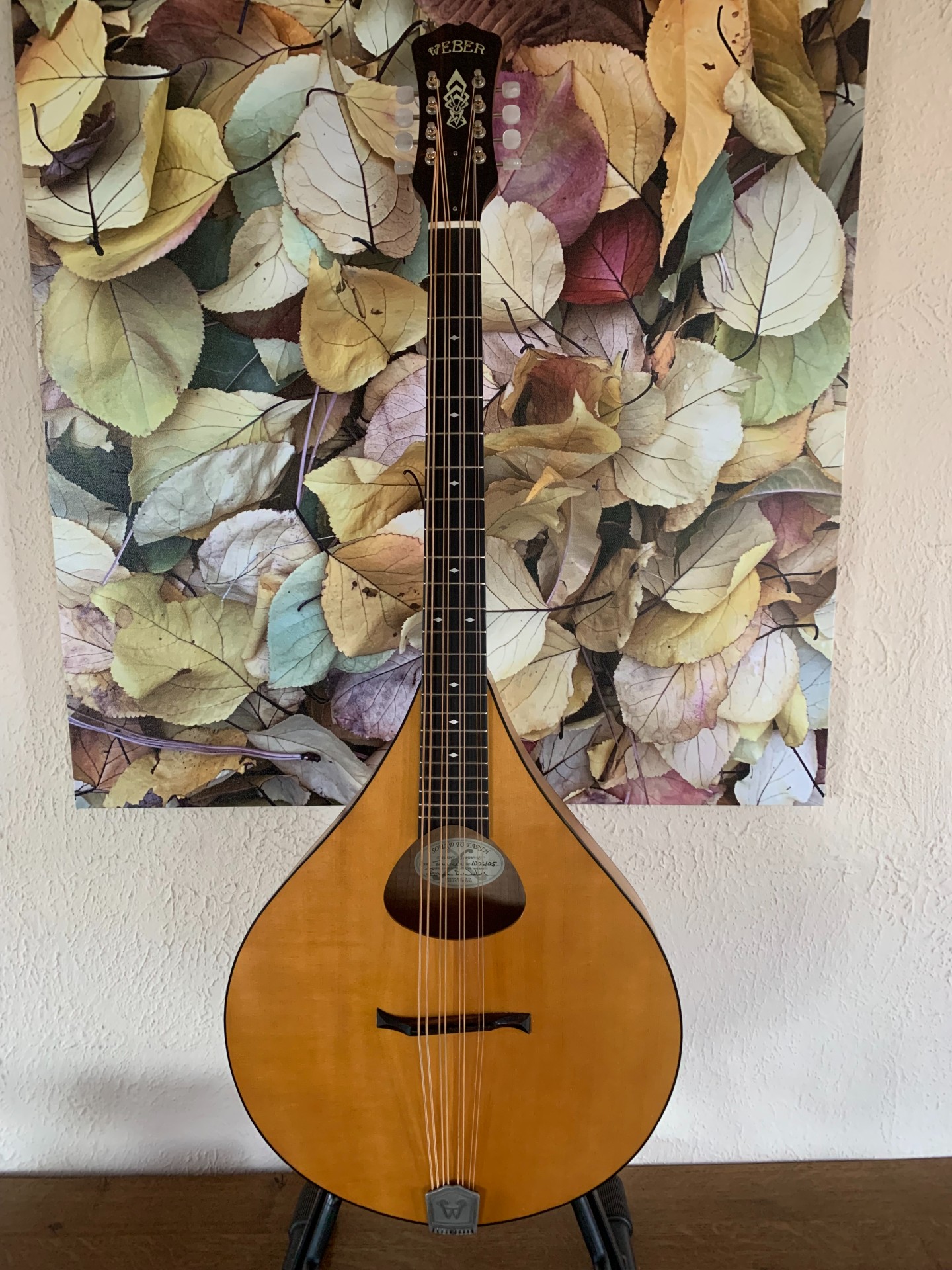 sIMG_6416 - Montana Lutherie