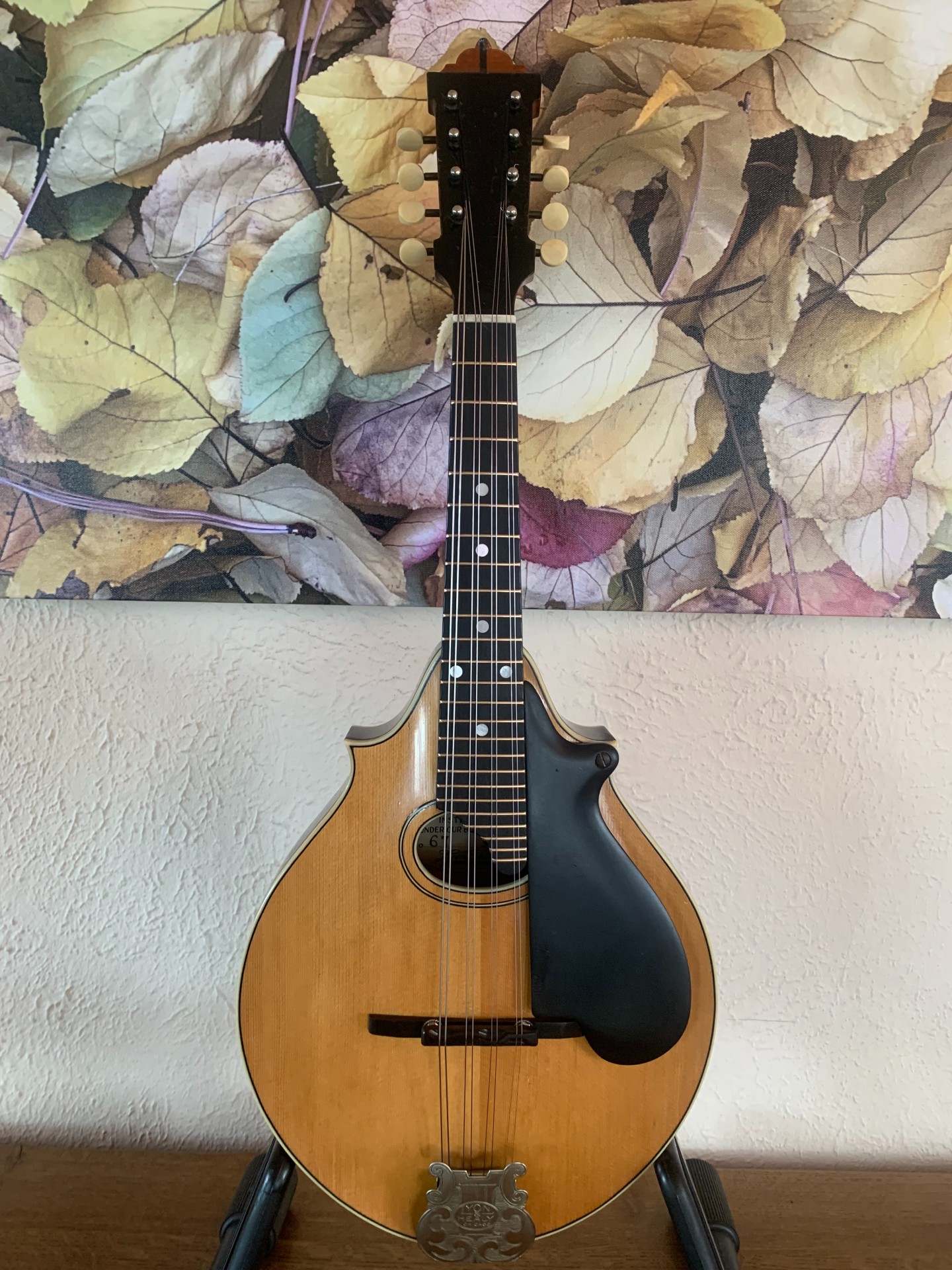 Mandolins For Sale Cheap | atelier-yuwa.ciao.jp